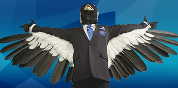 Bank accounts – Complete Freedom Concession | BankSA